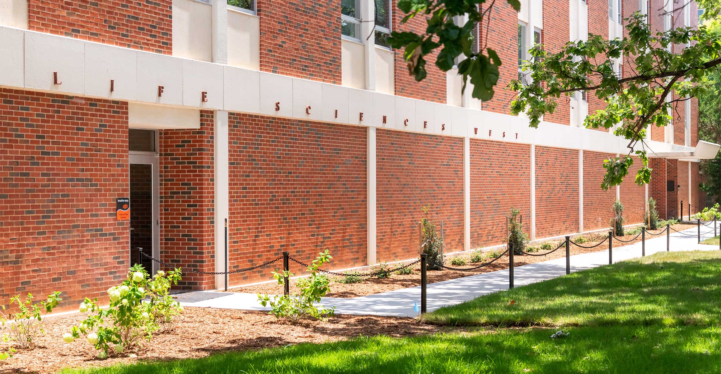 NSF-funded mentoring program welcomes first cohort of biological ...